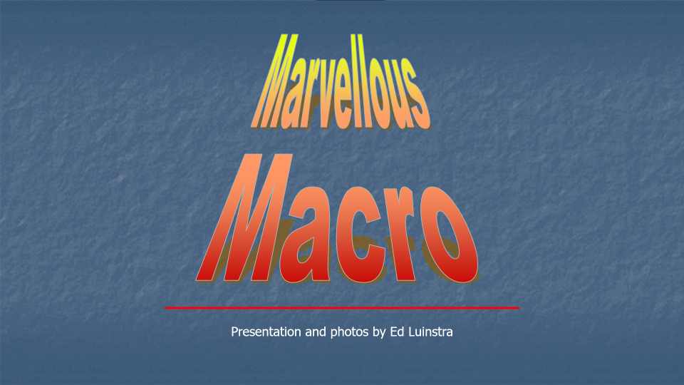Slides from Ed Luinstra’s Marvelous Macro presentation – Kanata Seniors ...