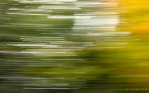 Kanata Seniors' Centre Camera Club – Seniors Enjoying Photography